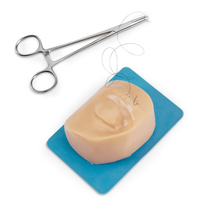 Erler-Zimmer Facial Suture Model Set - LabWorld.co.uk